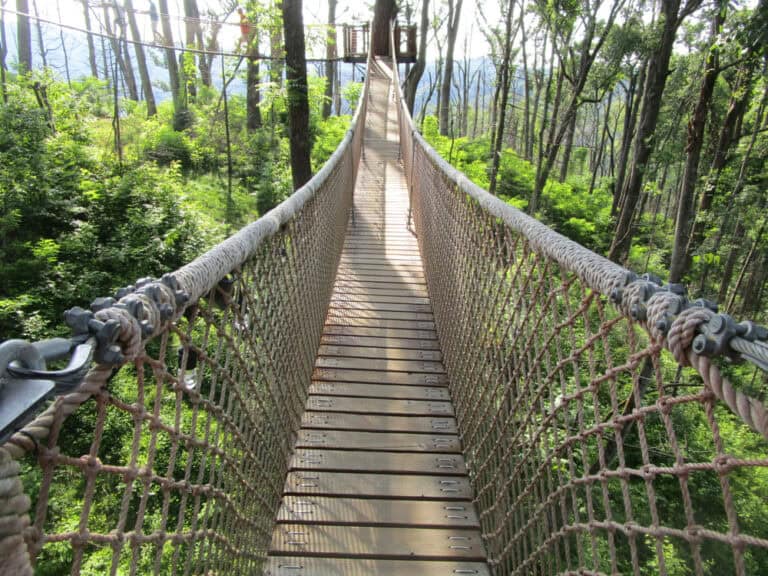 4 Exciting Changes Coming to Anakeesta with Their Major Expansion in 2026